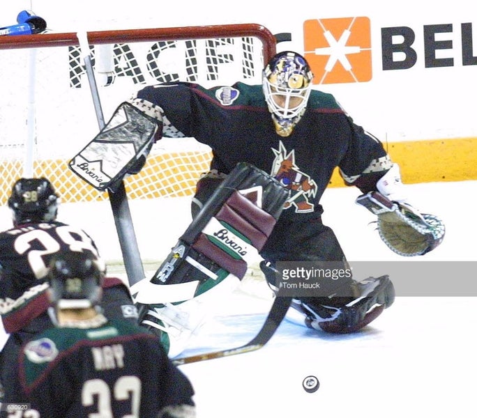 Phoenix Coyotes goalie Sean Burke game-worn Brian's leg pads (2000-2001 ...