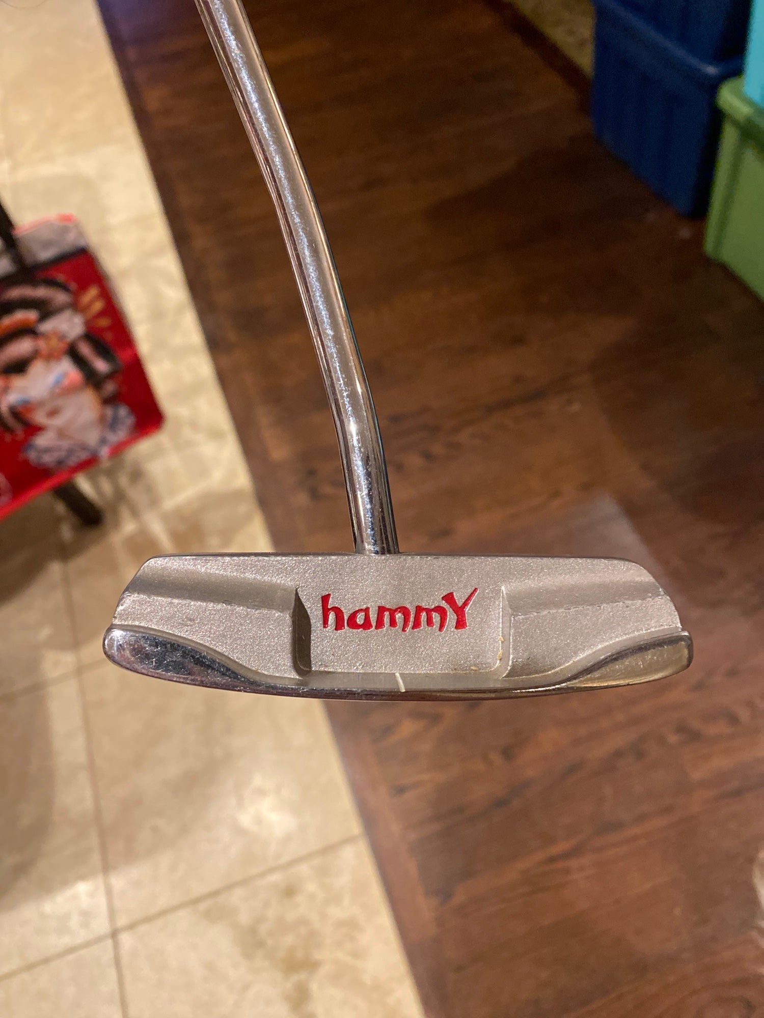 “Hammy” Brand Putter | SidelineSwap