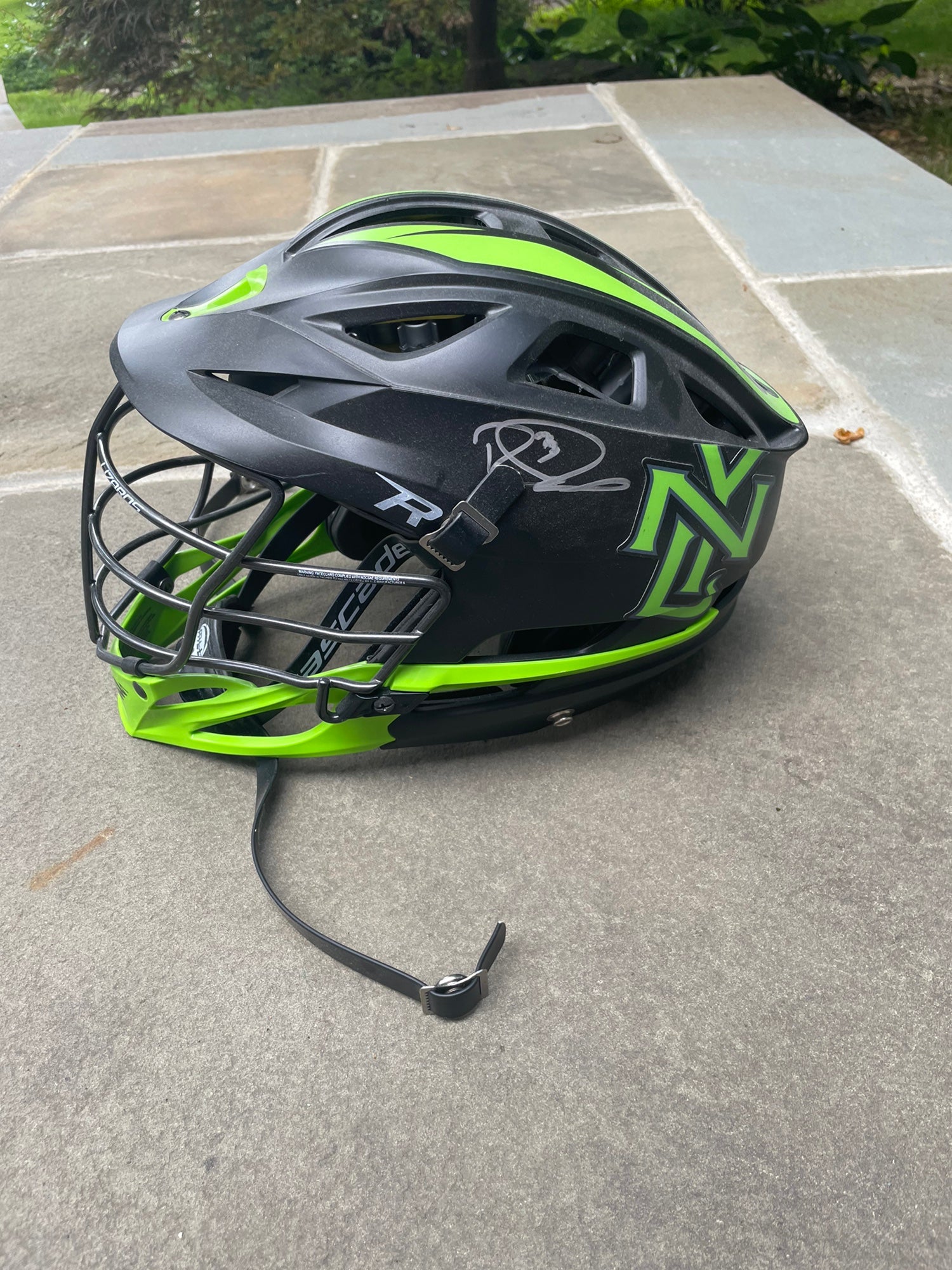 Rob Pannell Lizards
