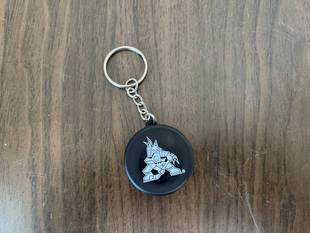 Phoenix Coyotes Nikolai Khabibulin #35 NHL SUPER VINTAGE InGlasCO ...