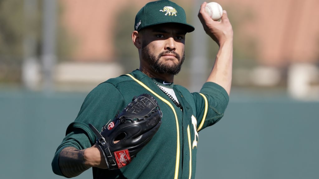 Sean Manea’s Rawlings pro preferred | SidelineSwap | Buy and Sell on ...