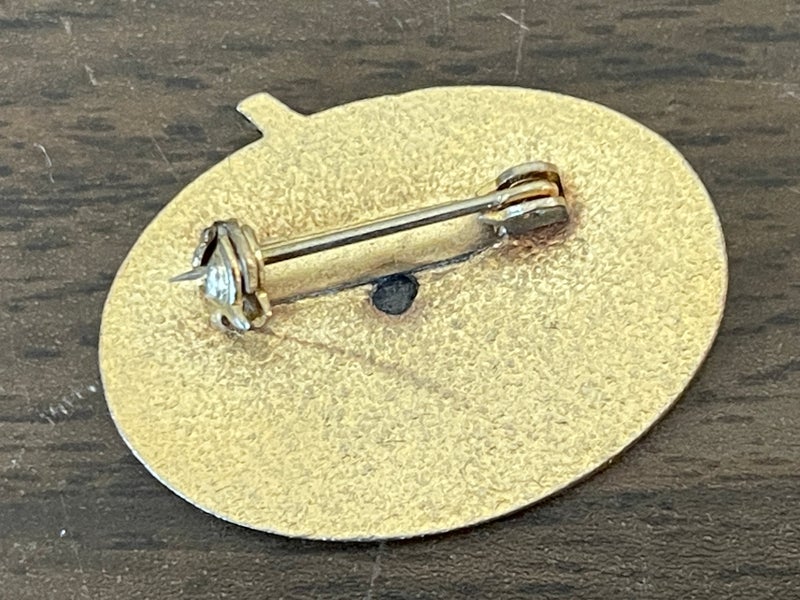 Sundial Lawn Bowls Club SUN CITY, ARIZONA SUPER VINTAGE Bowling Lapel ...