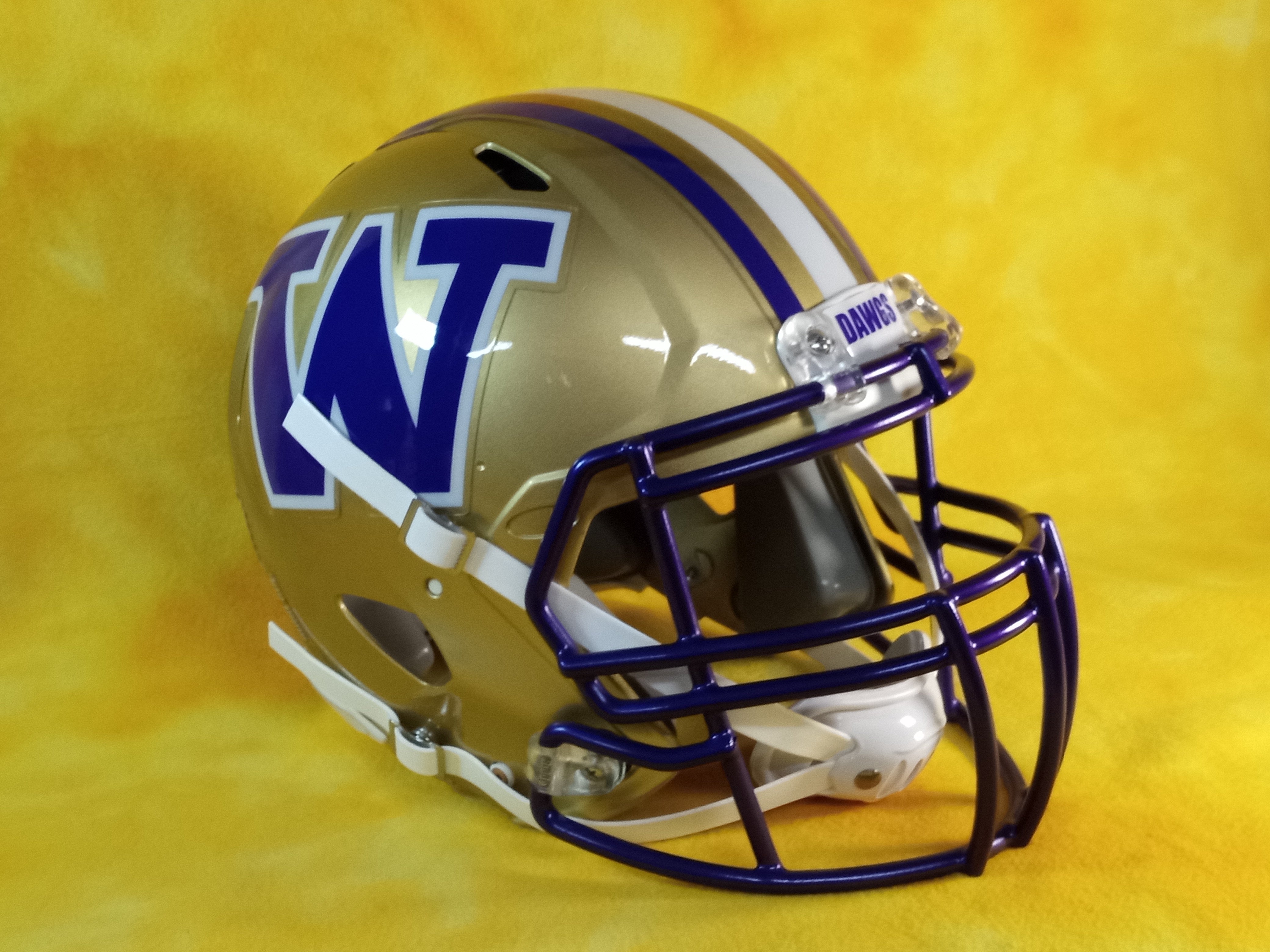 Uw Huskies Helmet