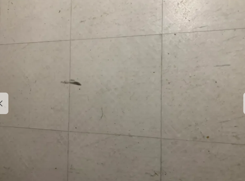 Easy to Assemble Hockey Stickhandling and Shooting Tiles | SidelineSwap ...