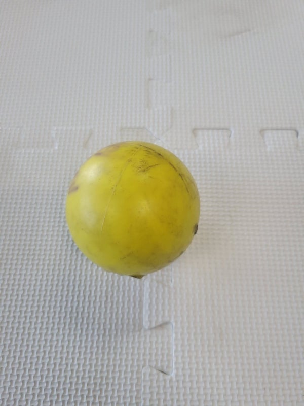 Used Total Control Ball 82 Baseball And Softball Training Aids | SidelineSwap