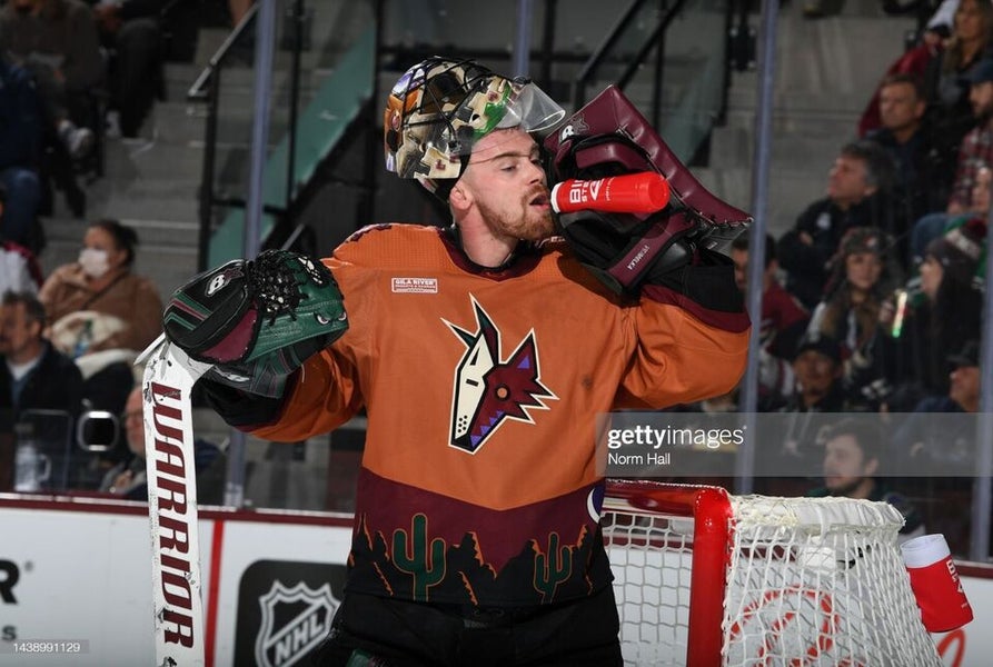 ARIZONA COYOTES Karel Vejmelka game-worn Brian's chest+arm protector ...