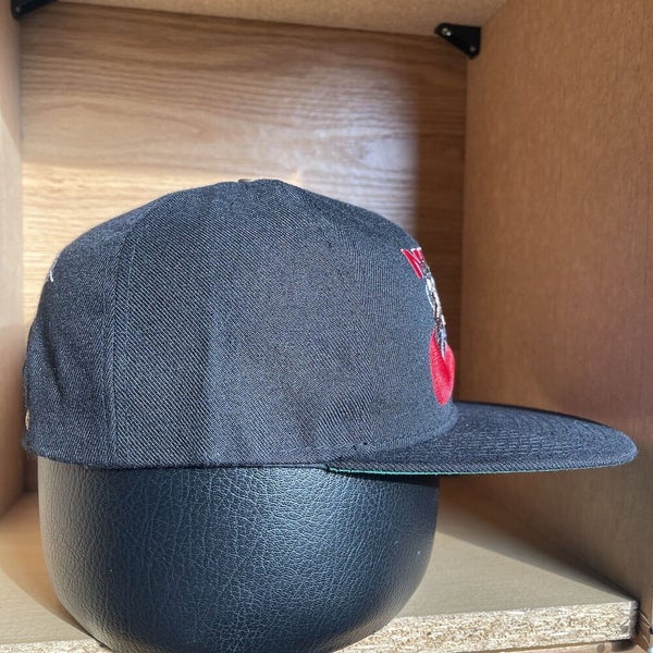Vintage RARE Taz Nike Looney Tunes Snapback Hat Tasmanian Devil NWT ...