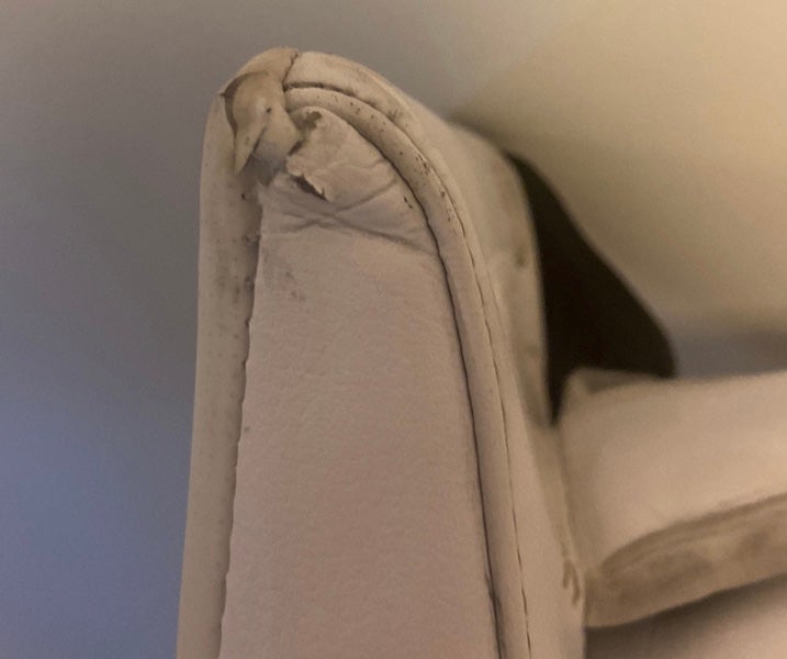 *USED* Bauer Mach Glove Set (Senior) | SidelineSwap | Buy and Sell on ...