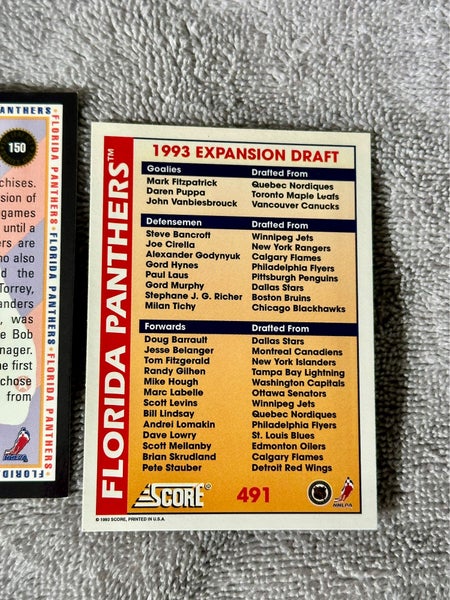 Florida Panthers Vintage 1993 NHL Expansion Hockey Cards (2 Cards Total ...