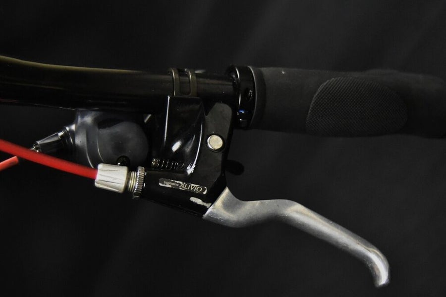 TIMBERLINE RIDGE RUNNER MOUNTAIN custom BIKE SIZE LARGE, 20", 21 SPEED ...