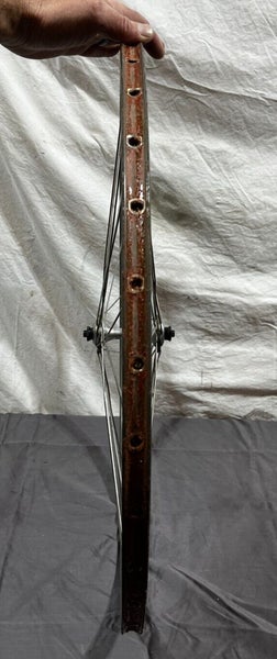 Vintage Wolber Aspin 36-Spoke Tubular 700C Front Wheel Campagnolo ...