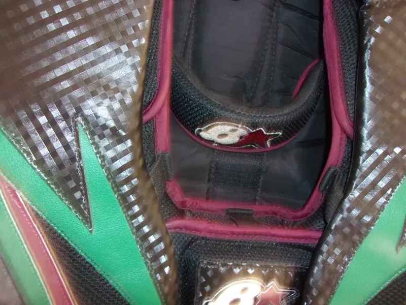 ARIZONA COYOTES Karel Vejmelka game-worn Brian's chest and arm ...