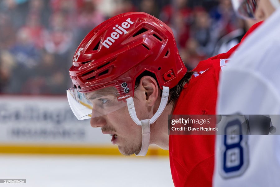 Detroit Red Wings Meijer NHL Pro Stock Decal Sticker | SidelineSwap ...