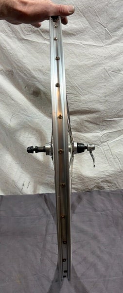Velocity Twin Hollow 36-Spoke Silver Aluminum 28" Rear Wheel for ...