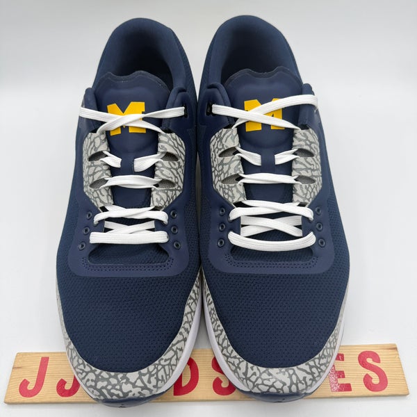 Nike Air Jordan New Zoom Tenacity 88 Michigan Wolverines PE IF2972-447 ...